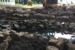 Gallery - Addis Garden Design