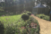 Gallery - Addis Garden Design