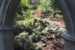 Gallery - Addis Garden Design